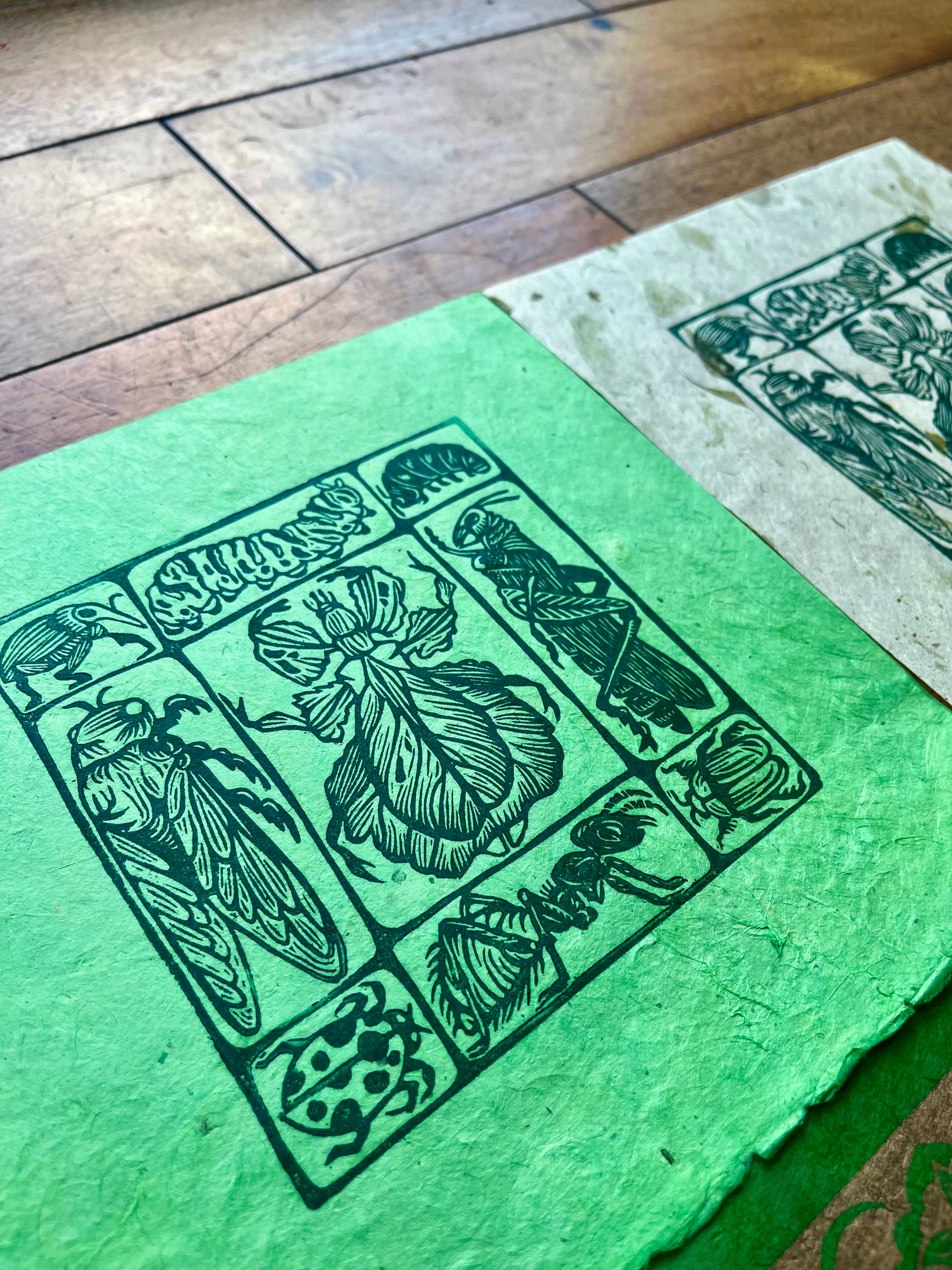 The Bug Collector – FemmePrints